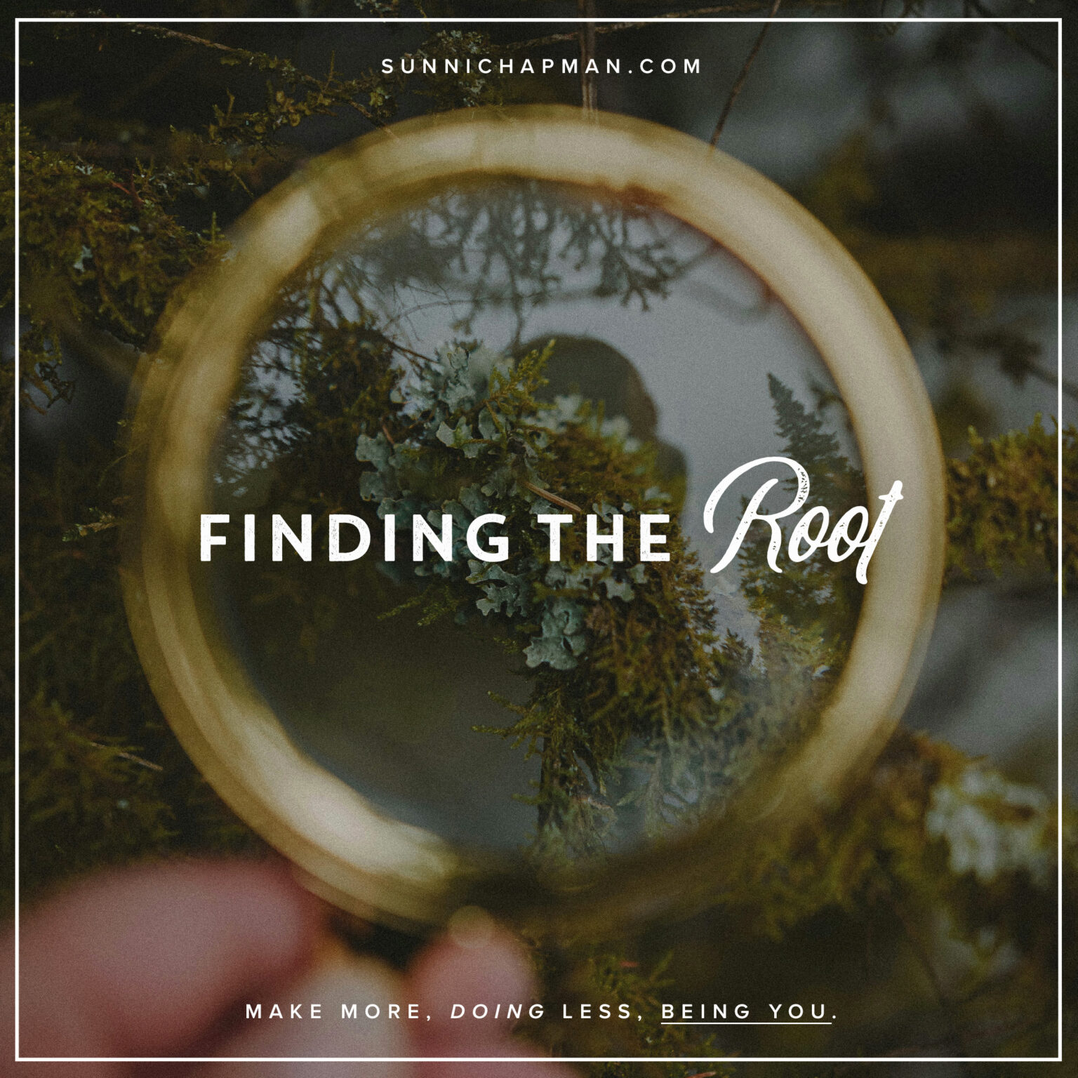 Finding The Root | Sunni Chapman Finding The Root | Sunni Chapman